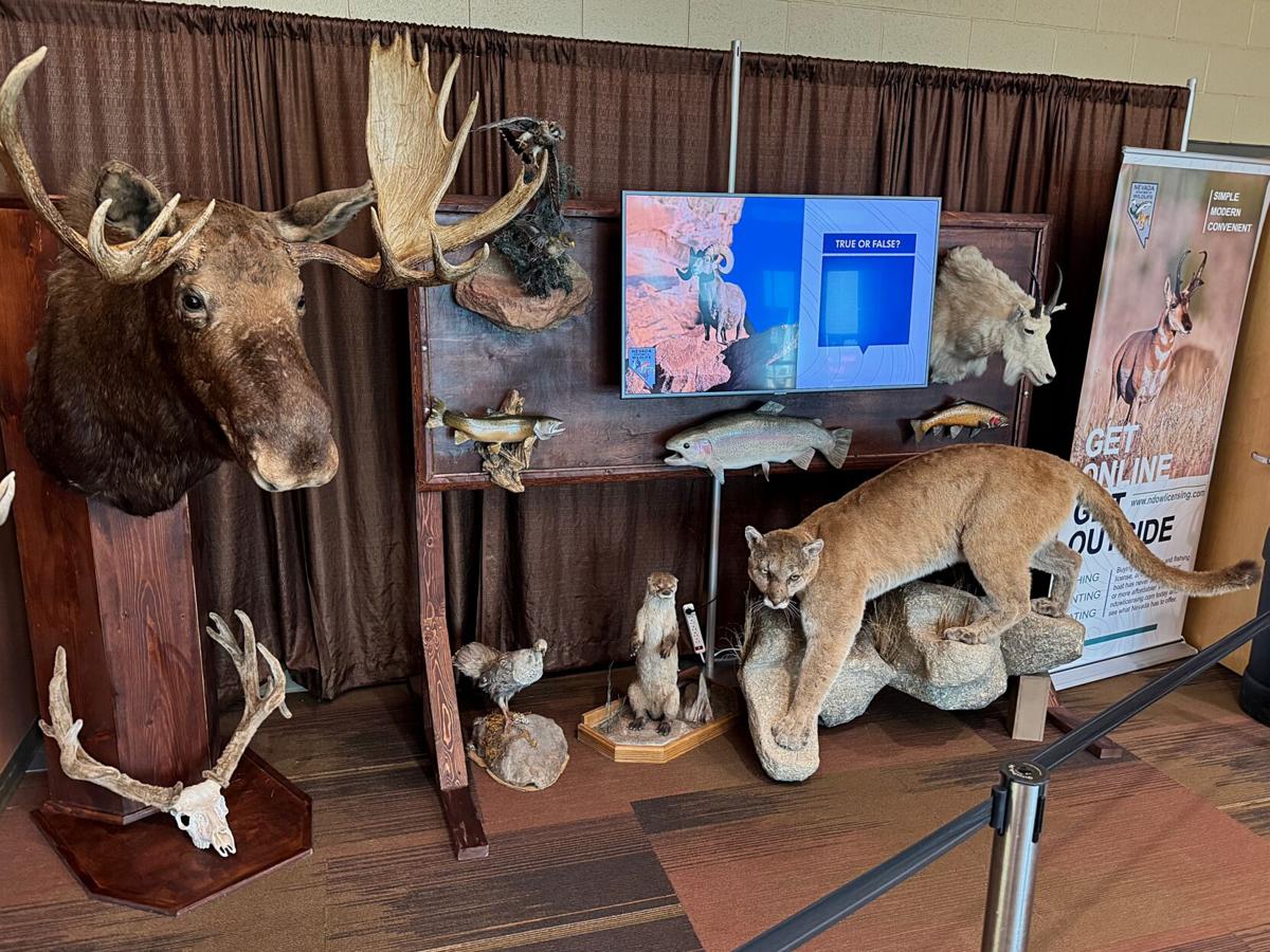 Photos: Elko Sportsman's Expo