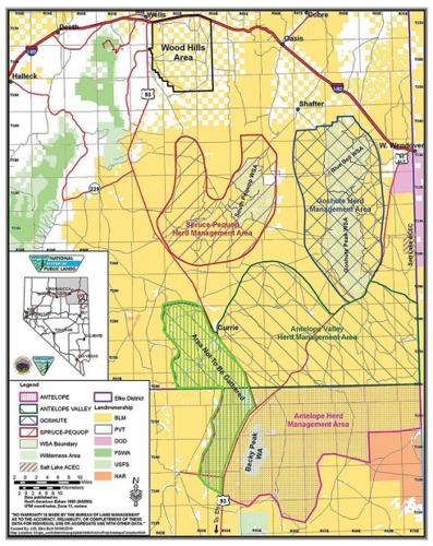 BLM releases final January horse gather study