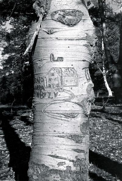 UNR Basque Library wins grant to document carvings