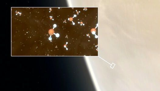 Professor Hanington's Speaking of Science: Has life been discovered on ...