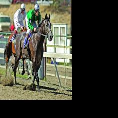 Racing syndicate battle begins