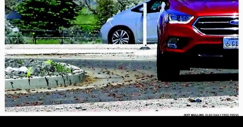 Cricket 'apocalypse' may be winding down