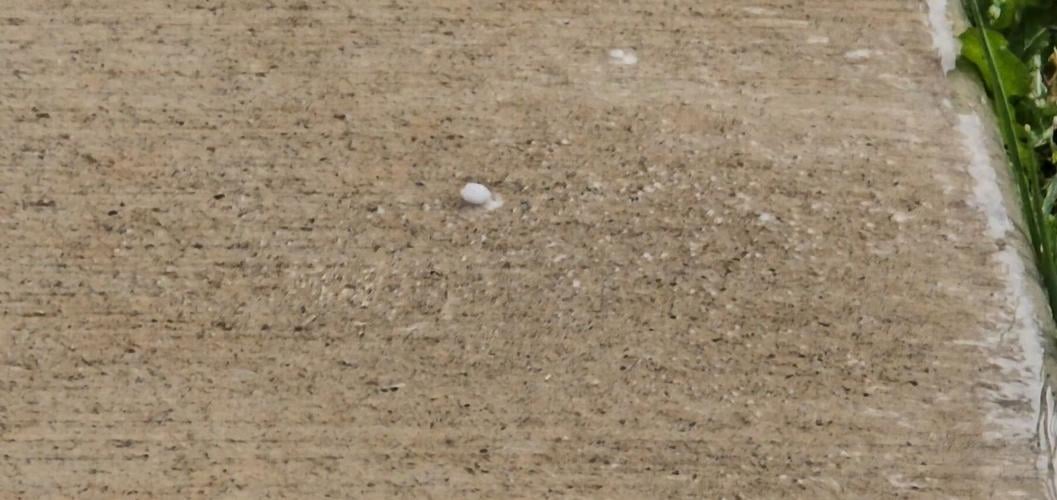 Hail rains down in Elko as storms move through region