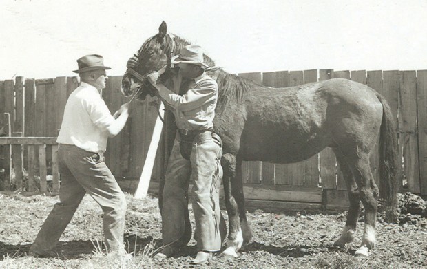 Ellison Ranching Co. marks 100 years