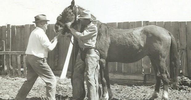 Ellison Ranching Co. marks 100 years