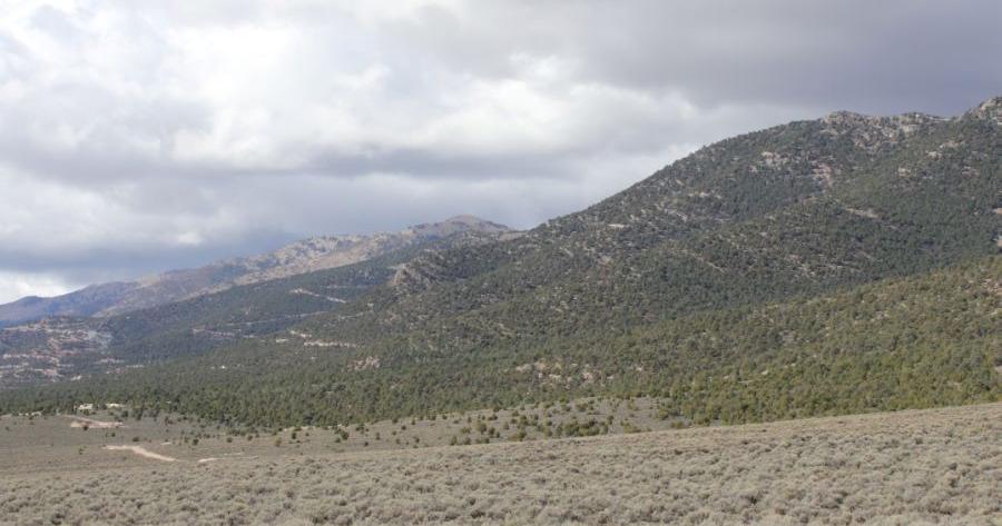 BLM issues final EIS on Long Canyon project