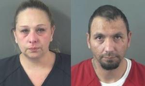Elko couple arrested on suspicion of check fraud