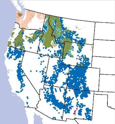 Report says wolves may find habitat in Nevada