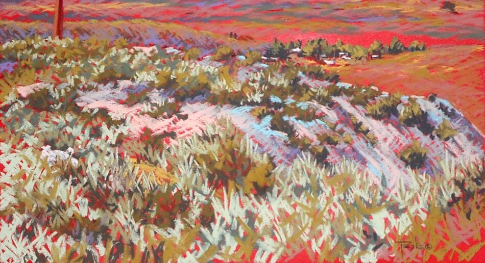 Tuscarora artist featured by Nevada Humanities