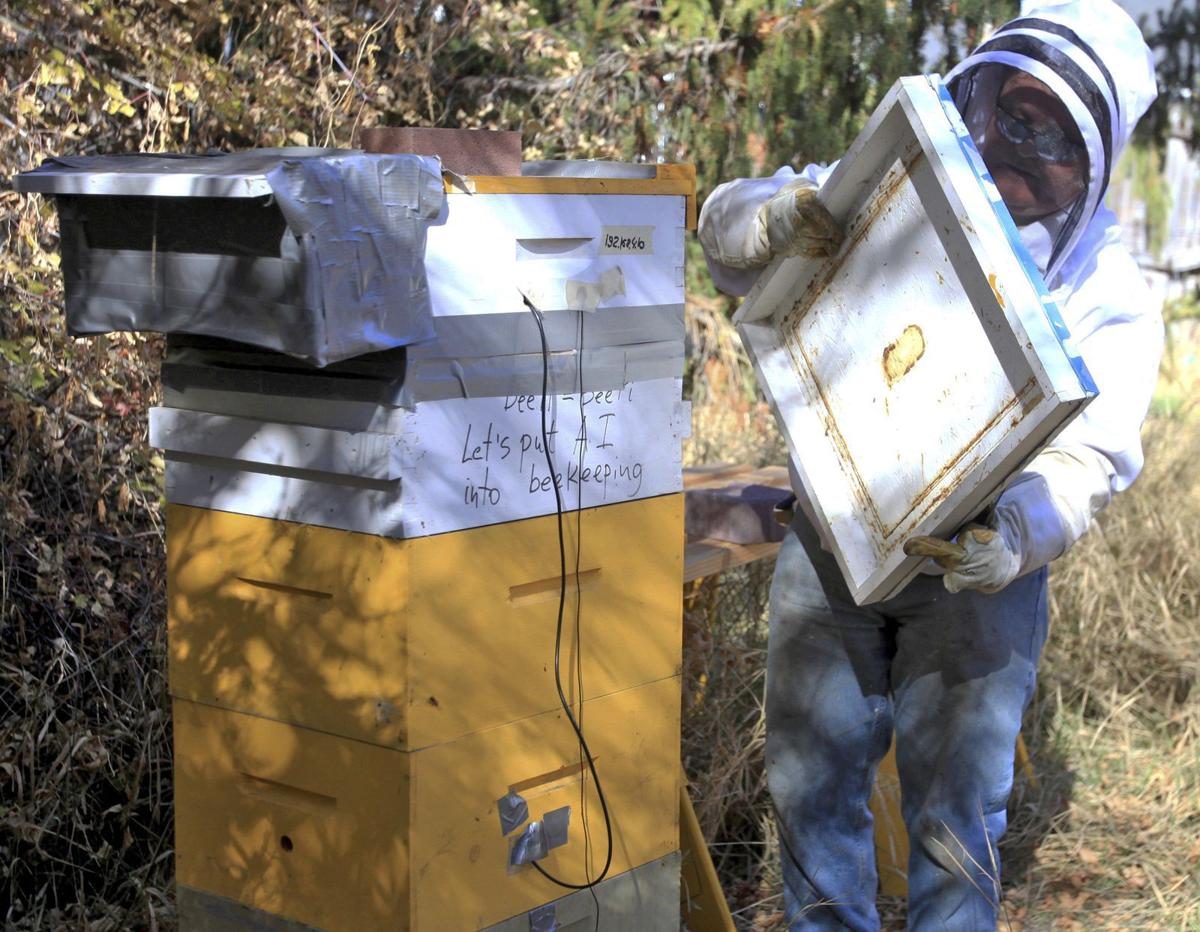Utah professor hopes robotic hives will help honeybees