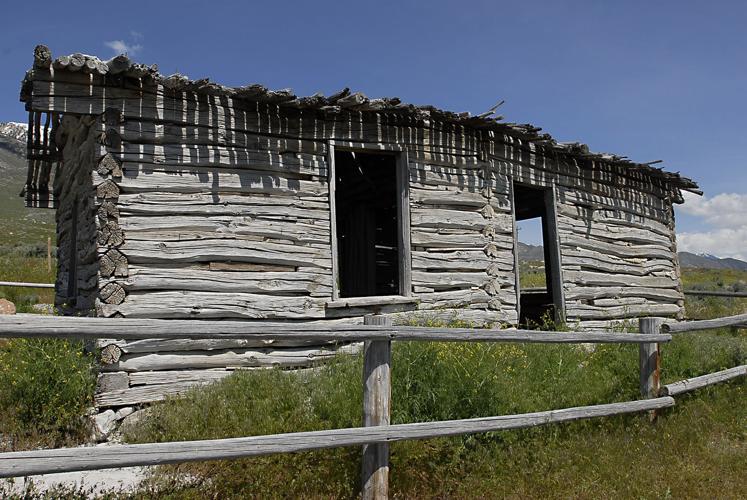 Ruby Marshes: A crossroads for migratory birds
