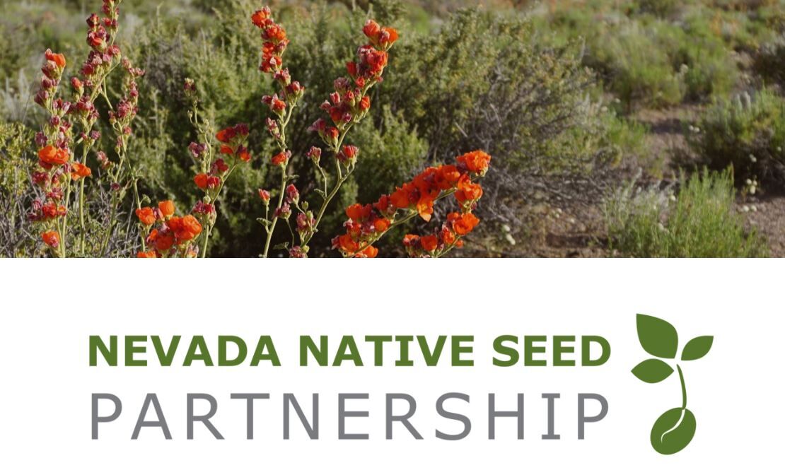 Nevada Native Seed Forum slated in Elko