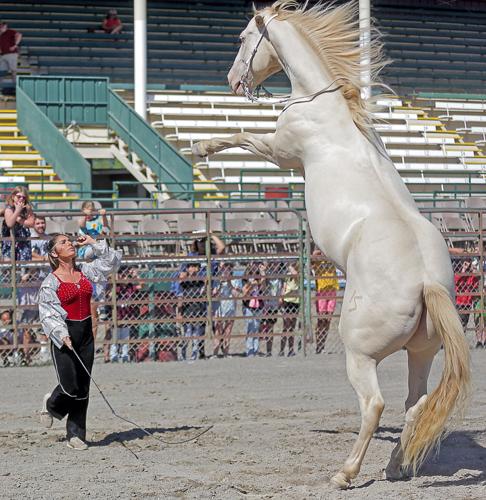 Proctor set to thrill fans with trick riding