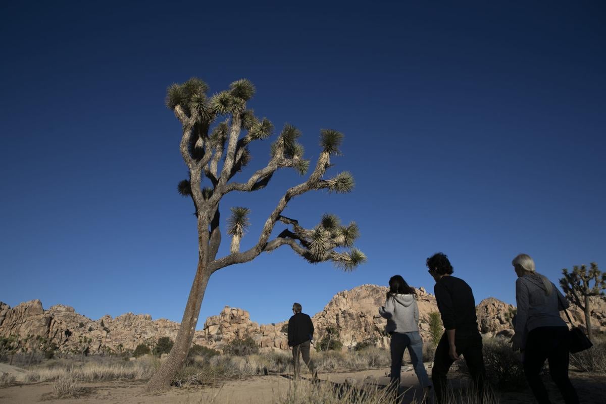Joshua Tree National Park braces for crowds amid holidays