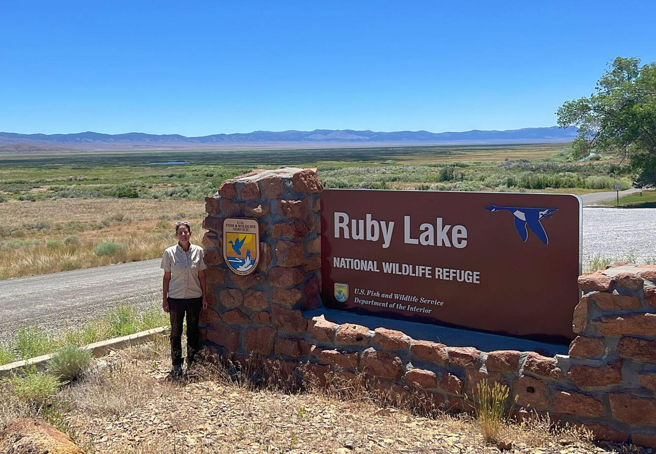Ducks, bats and boats: behind the scenes at Ruby Lake Refuge