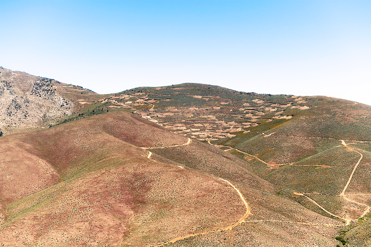 Orla Mining acquires Contact Gold, grows South Railroad