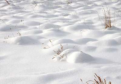 Nature Notes: The importance of snow