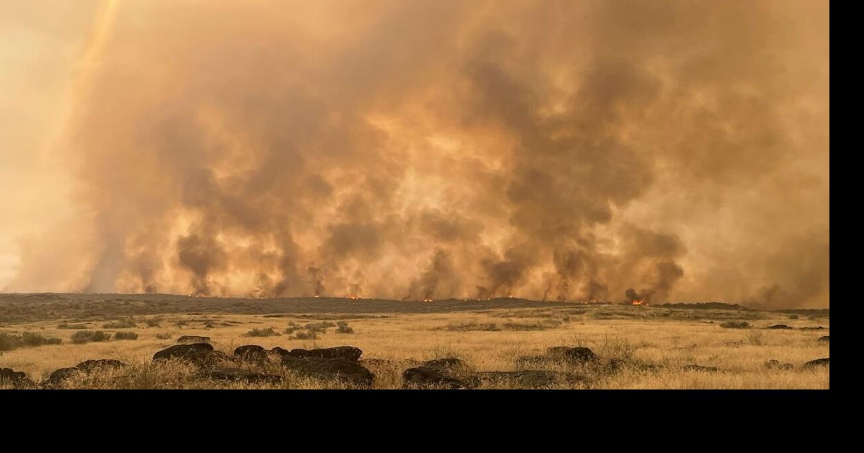 Human-caused fire burns 12,000 acres in southern Idaho, so far