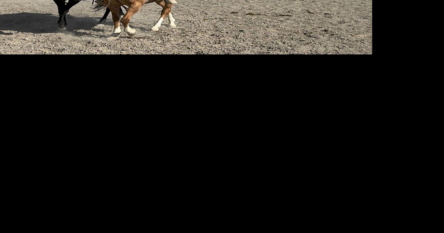Ill Elko County girl gets to ride sheriff's horse