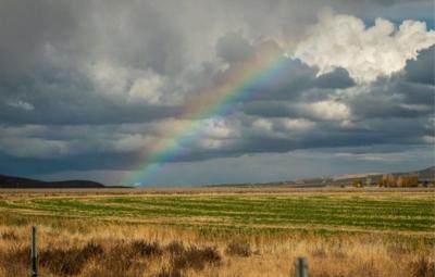 Independence Farm and Ranch sold
