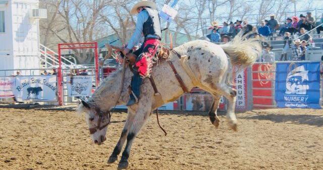 Pahrump Rodeo results