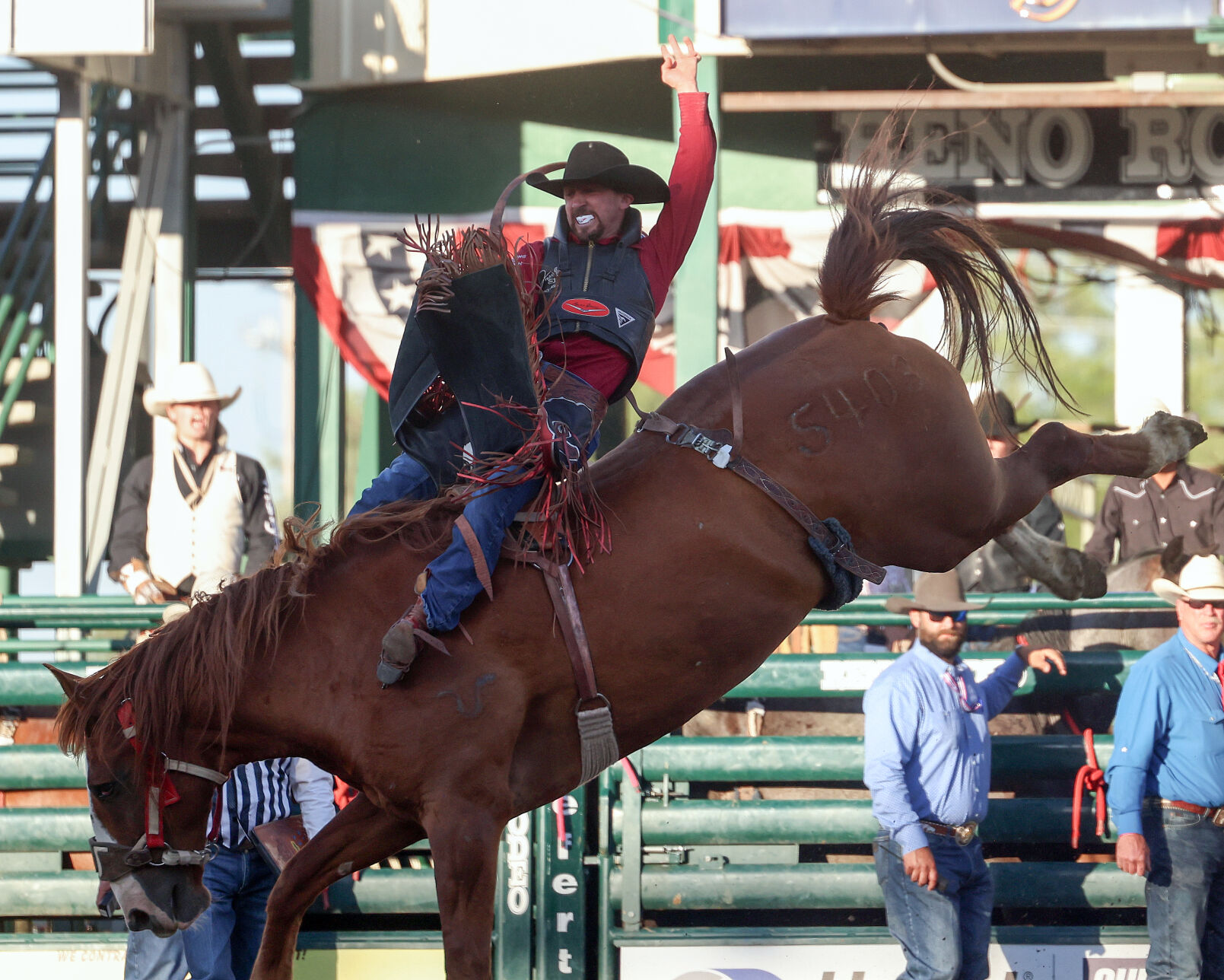 Reno Rodeo Short-Go Winners