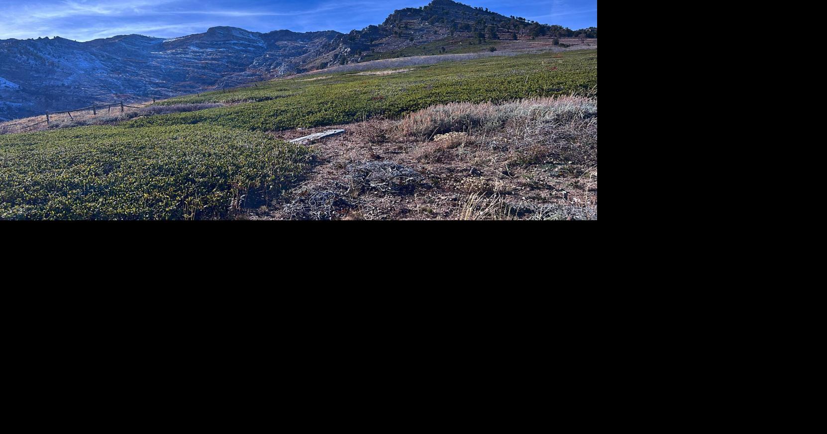 Smith Lake hike (by Angel Lake)