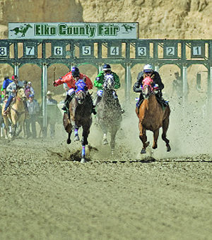 Speed is the key word at this year’s horse races