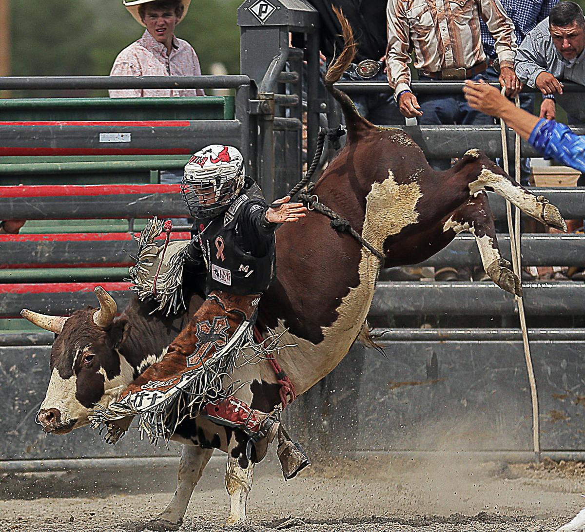 Action heats up in junior bull riding | Local Sports | elkodaily.com