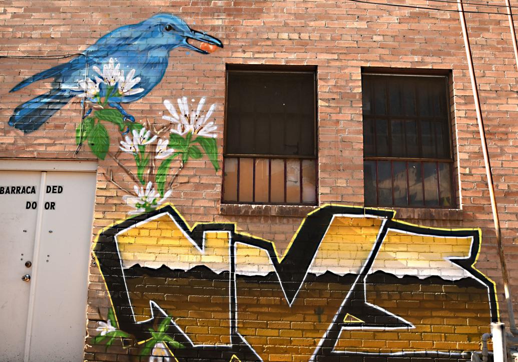 Elko murals: The full collection and where to find them
