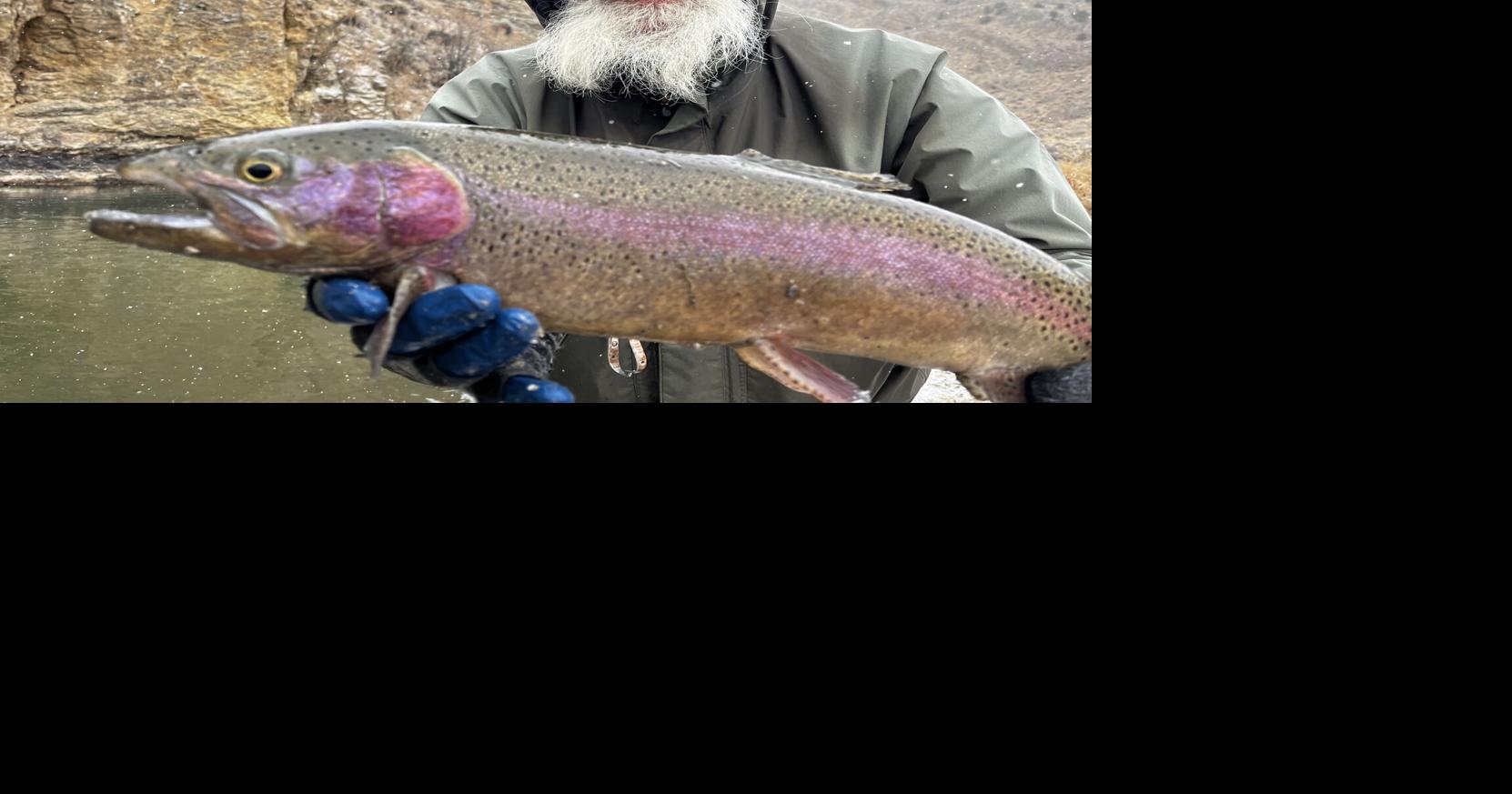 Joe Doucette - ice solid at Wild Horse, South Fork