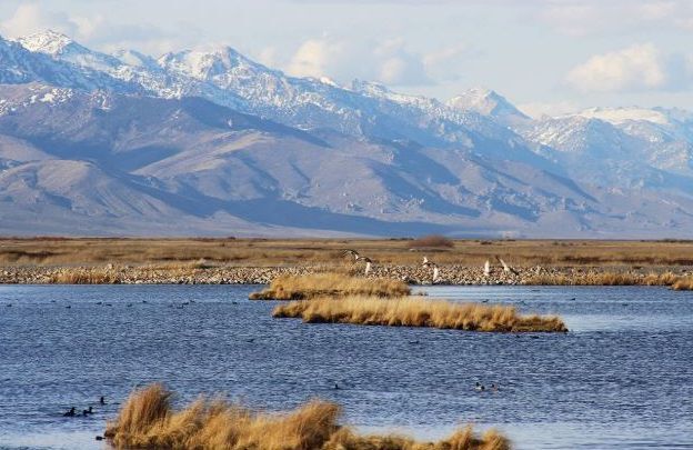 Senator renews effort to protect Ruby Mountains