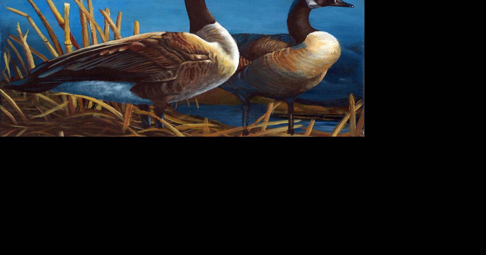 Elko teen repeats as Duck Stamp art winner