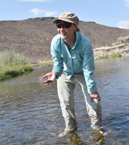 Learn about native mussels
