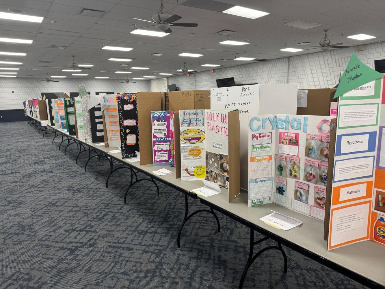 STEM Fair brings out the brainiacs in Elko County