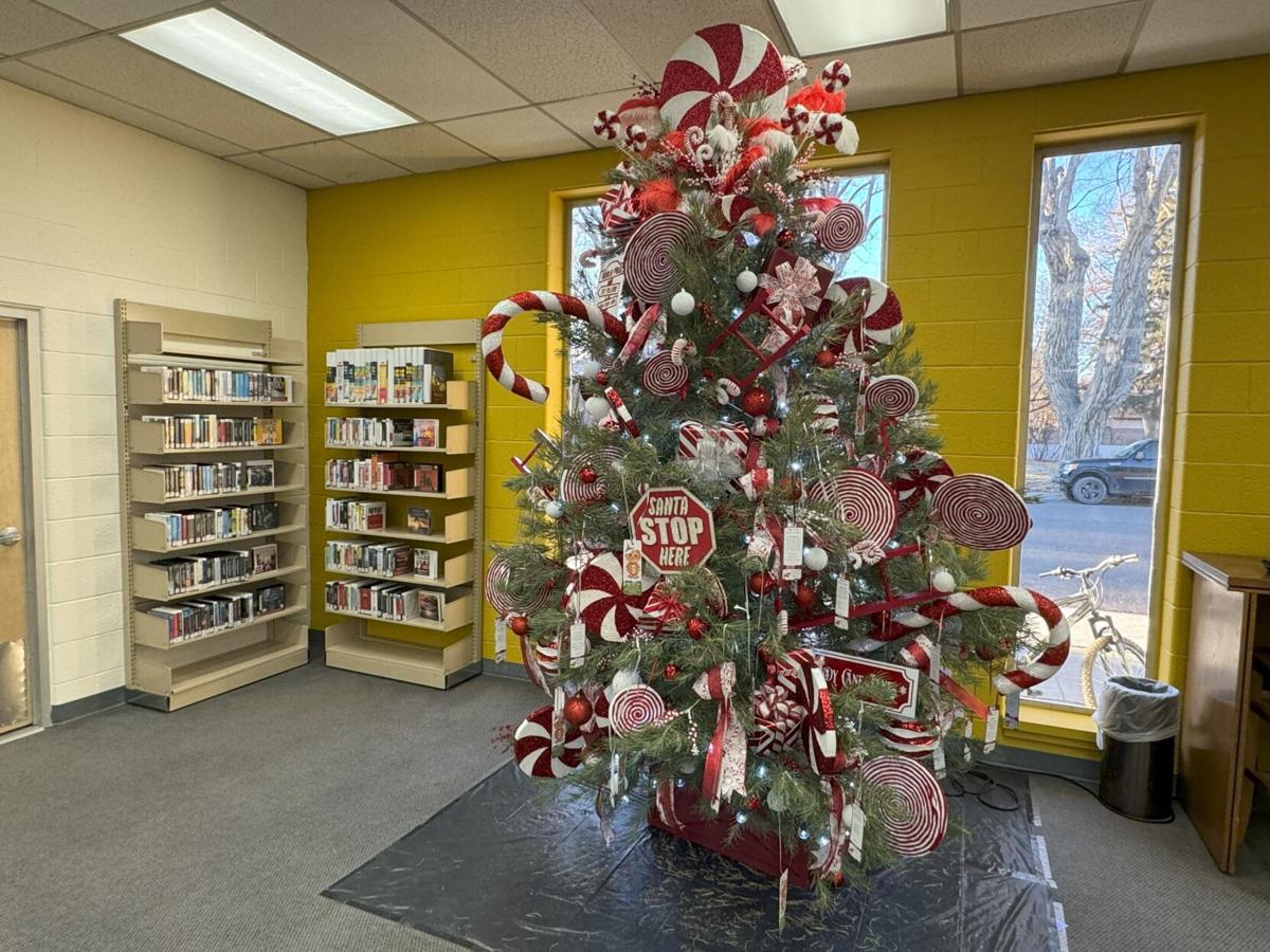 Elko Mybrary sugar plum tree benefits kids, families seniors