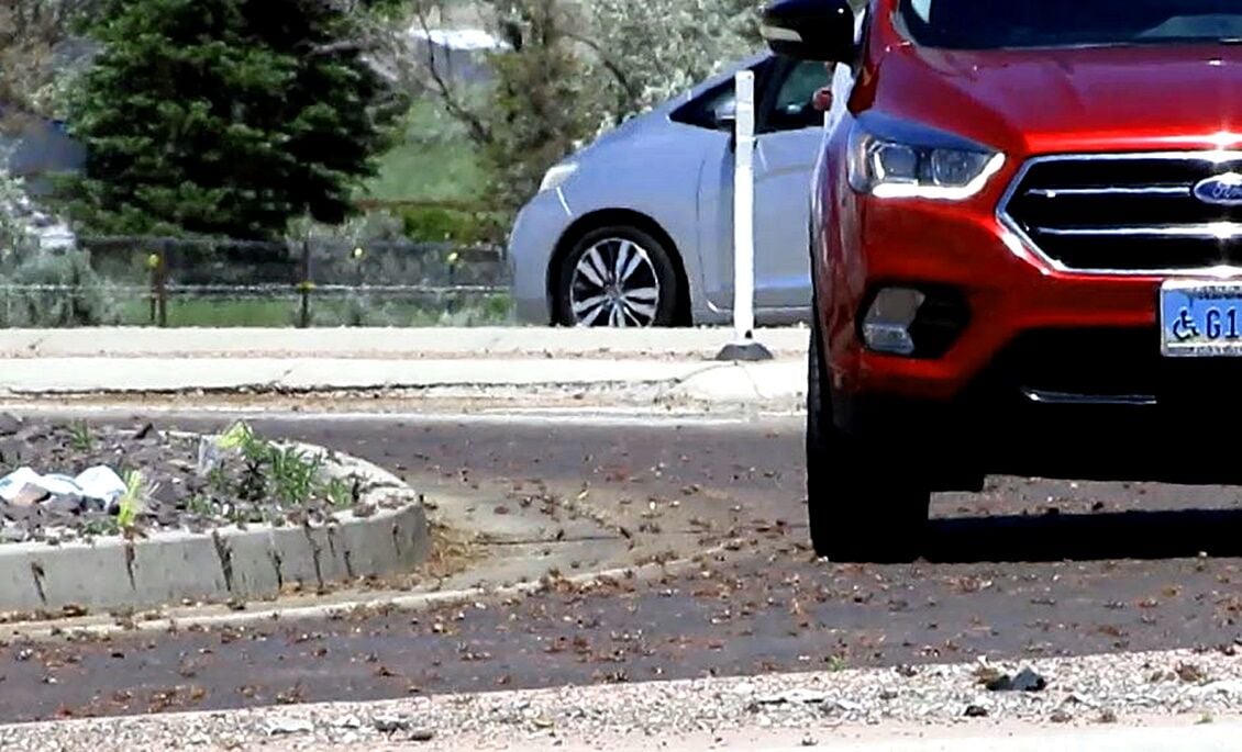 Elko's cricket 'apocalypse' may be winding down