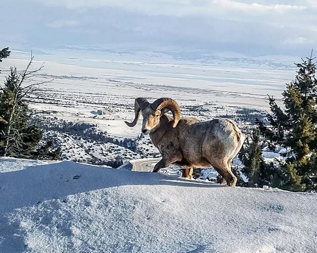Graymont Indian Creek mine produces lime products for mines and many ...