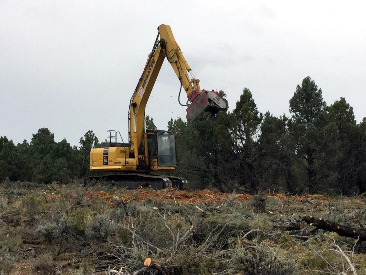 NDOW, BLM clear trees for sagebrush