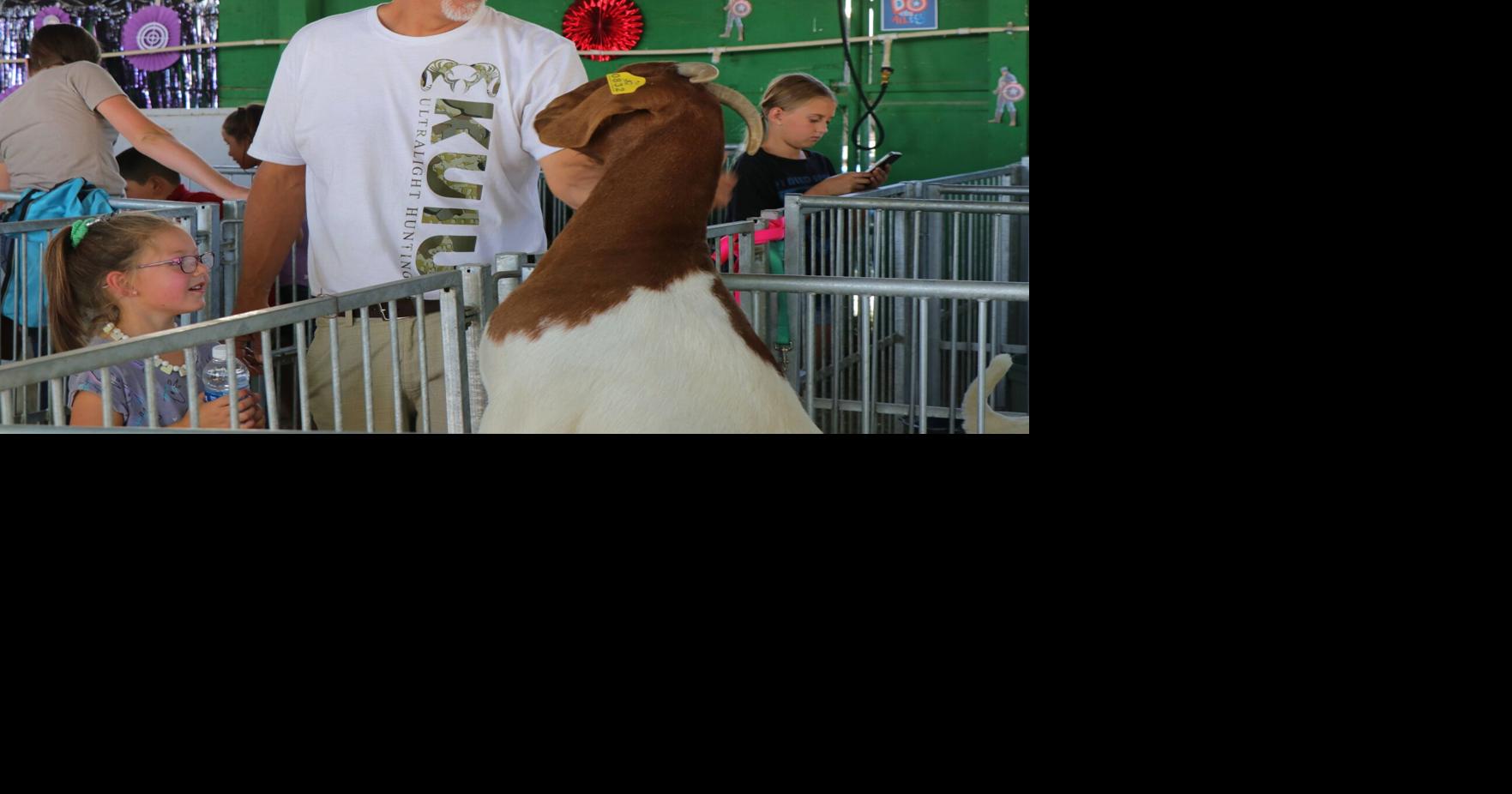 Photos: 2024 Elko County Fair & Livestock Show