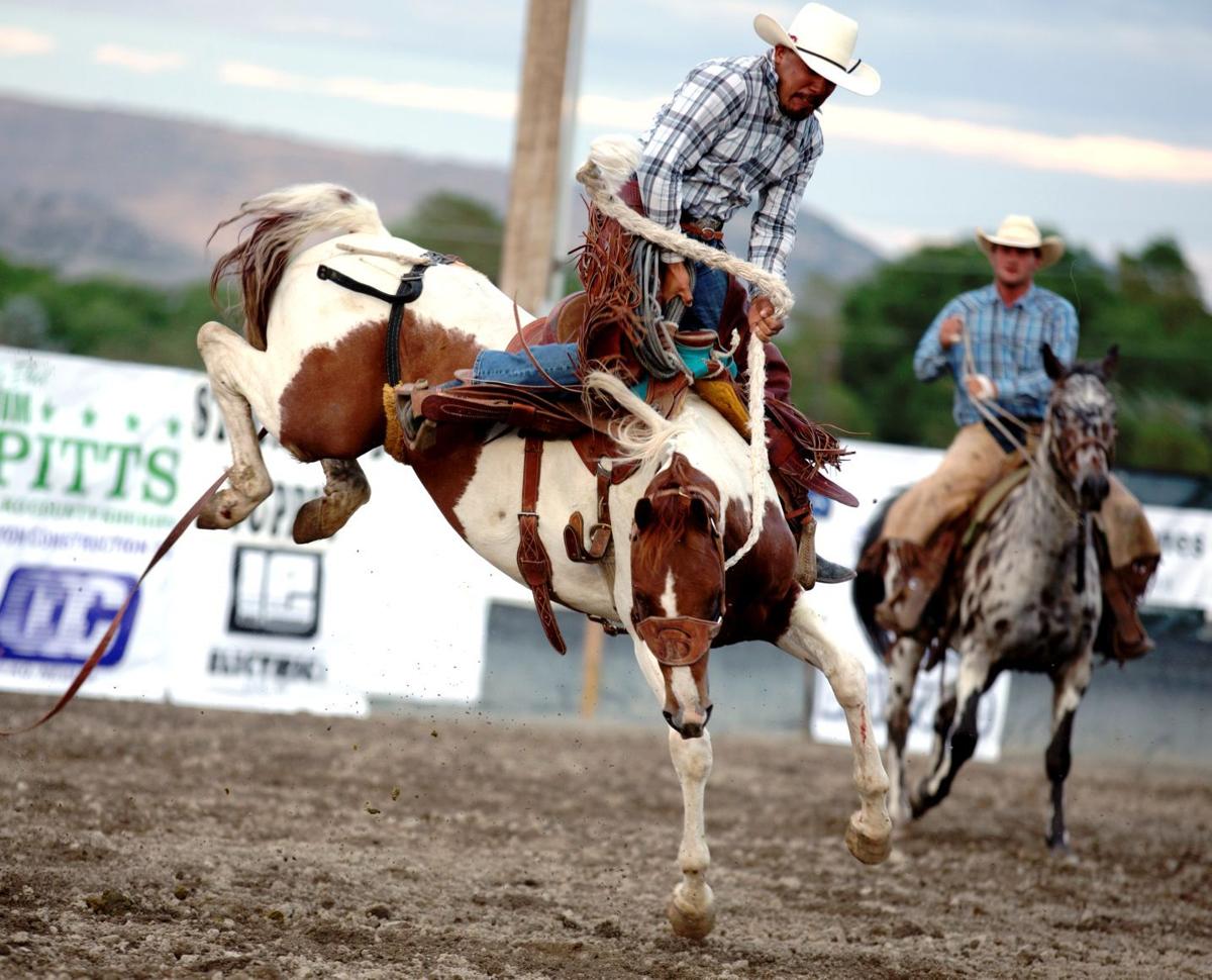 Stampede offers unique qualities