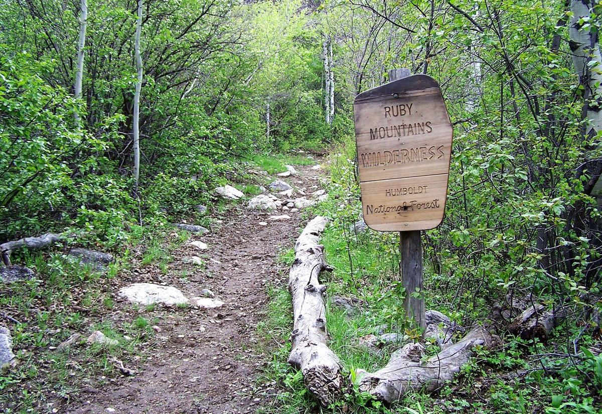 Nature Notes: Celebrating wilderness