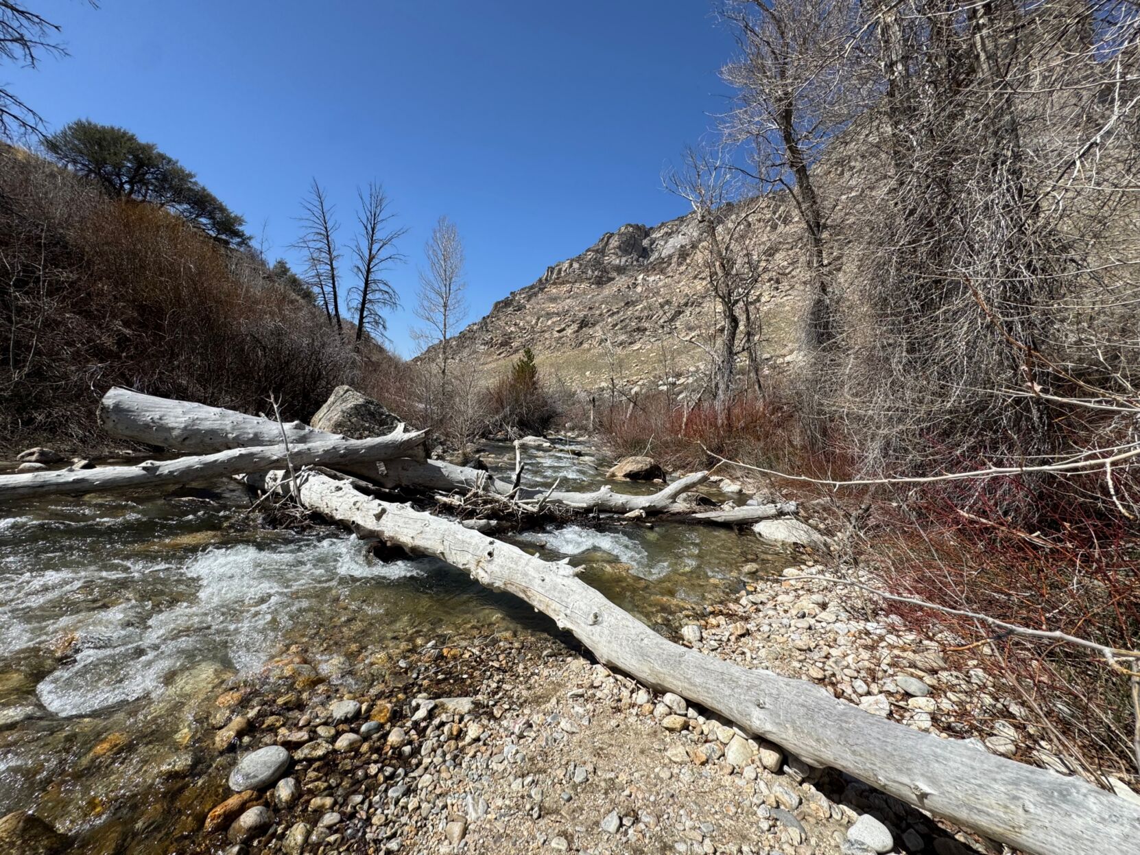 Photos: A look at nature in Lamoille Canyon