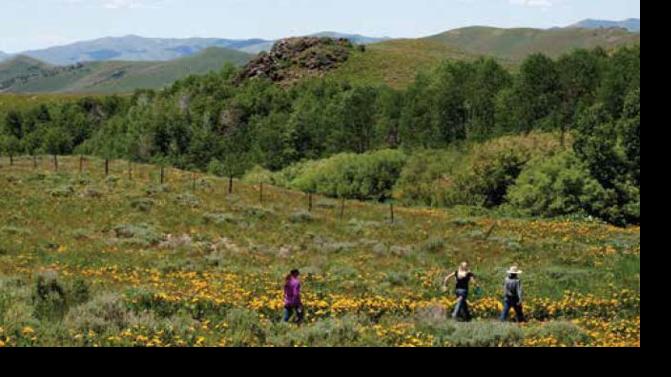 Explore-elko | elkodaily.com