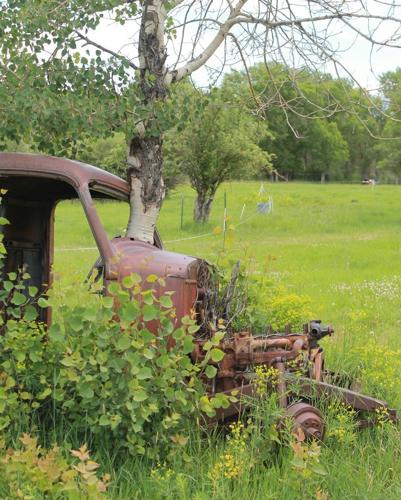 Back on Kennedy Ranch