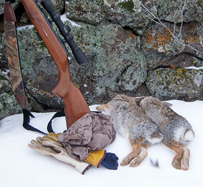 Be very, very quiet — I’m hunting wabbits