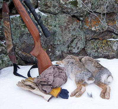 Be very, very quiet — I’m hunting wabbits