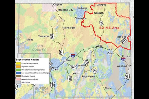 Nature Notes: A SANE approach to sage grouse