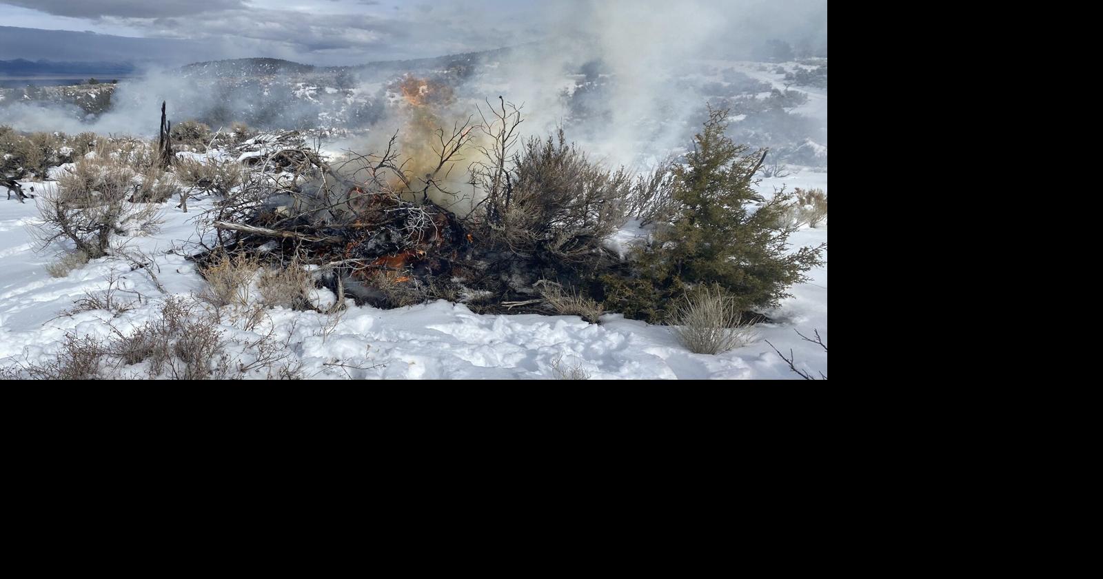 BLM Elko District plans prescribed fire on Spruce Mountain