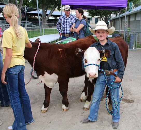 103rd Elko County Fair kicks off